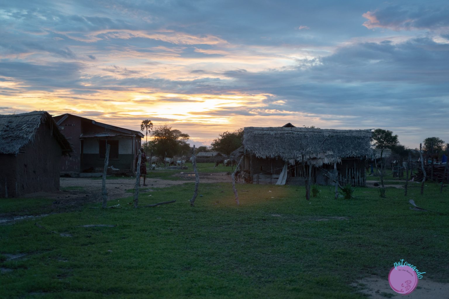 Quiénes son los Masais: visitando una aldea Masai - Patoneando
